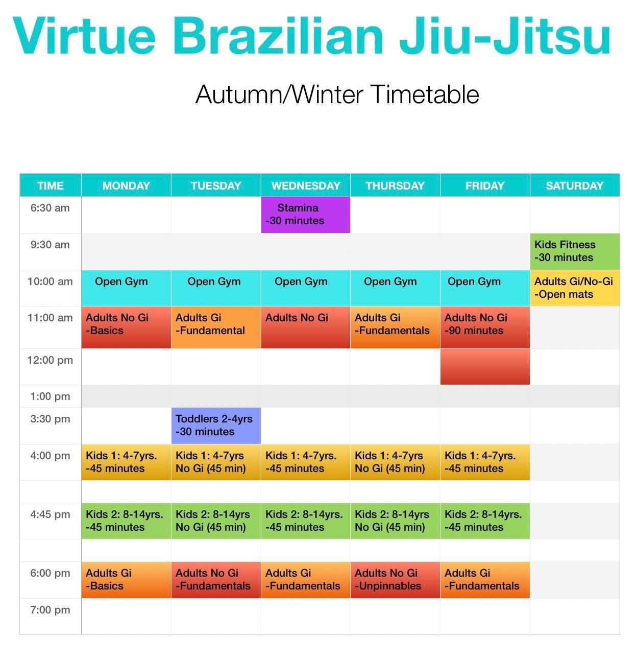 Virtue BJJ Lennox Head – Brazilian Jiu Jitsu Classes For All Ages